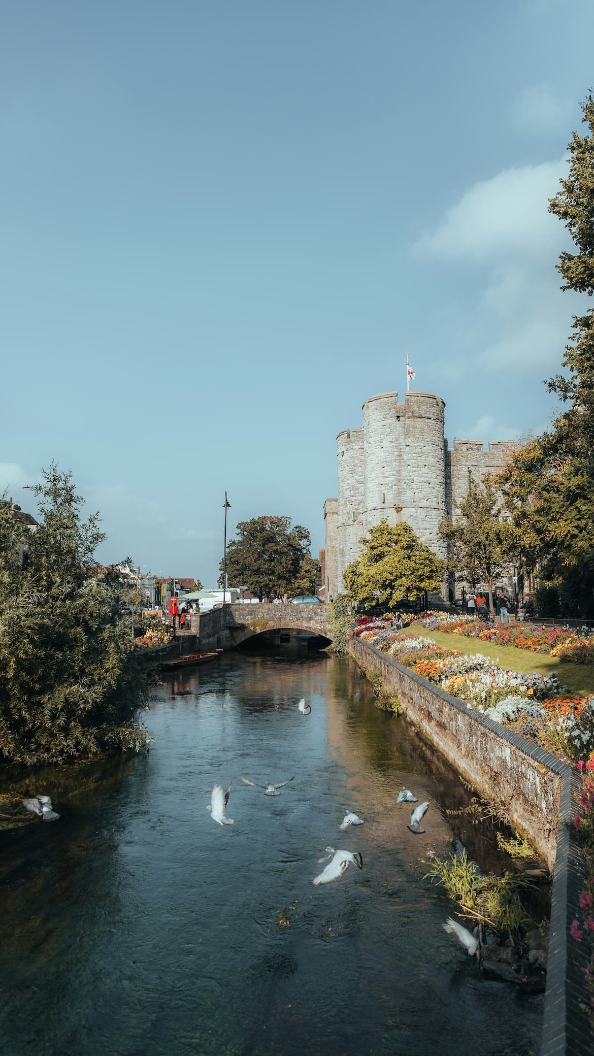 Asbestos Roof Removal Canterbury - Excel Asbestos